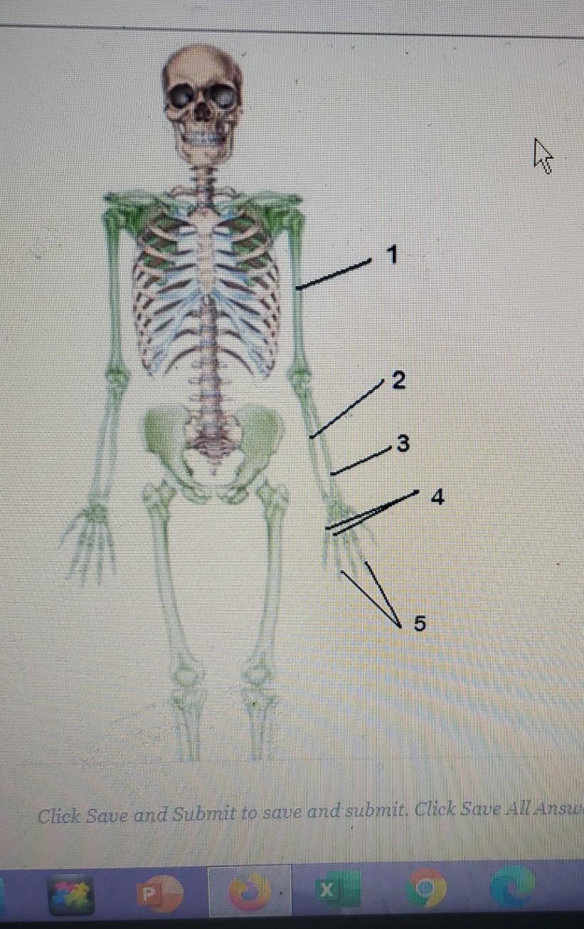 Solved تیام 1 2 3 4 5 Click Save and Submit to save and | Chegg.com
