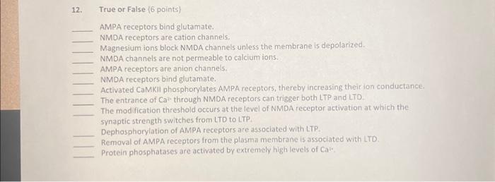 Solved 12. True or False {6 points\} AMPA receptors bind | Chegg.com