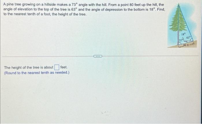 Solved A pine tree growing on a hillside makes a 73° angle | Chegg.com