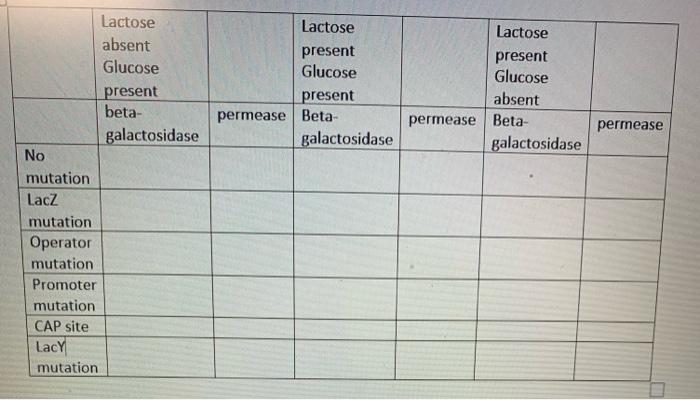 Solved How are the following lac operon genotypes will | Chegg.com