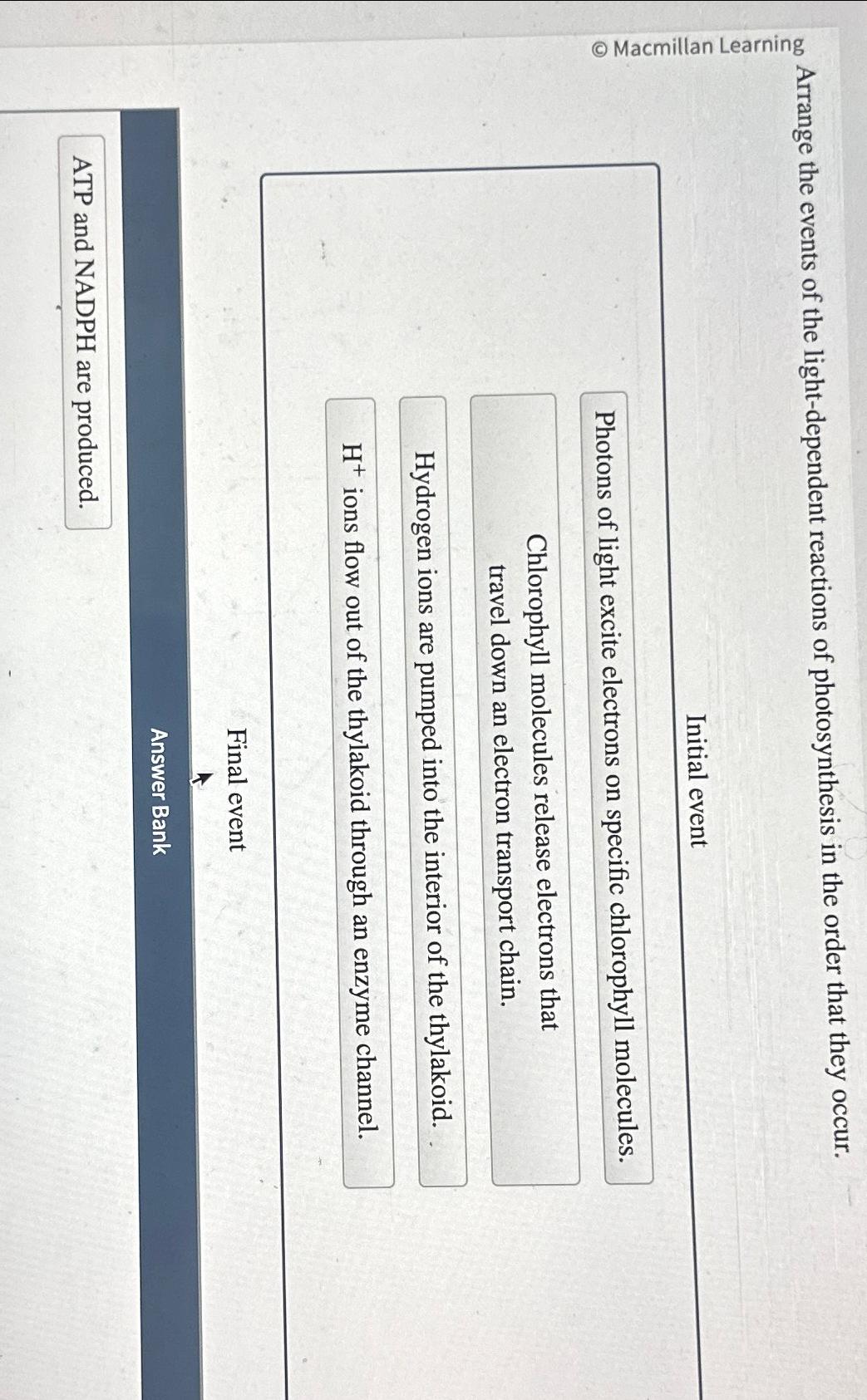 Solved Arrange the events of the light-dependent reactions | Chegg.com
