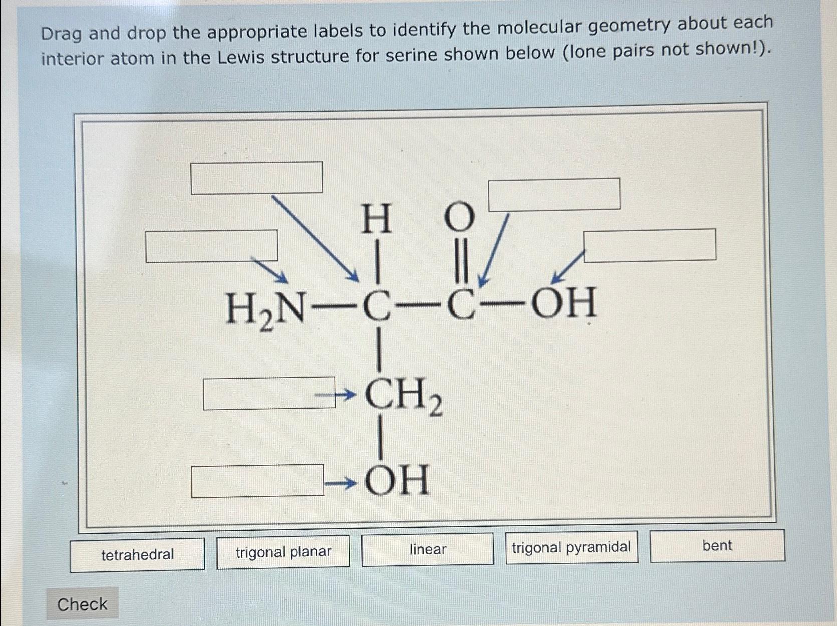 Solved Drag and drop the appropriate labels to identify the | Chegg.com