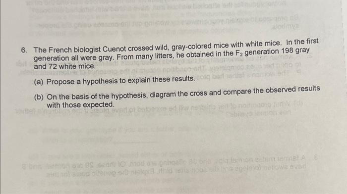 Solved 6. The French biologist Cuenot crossed wild, | Chegg.com