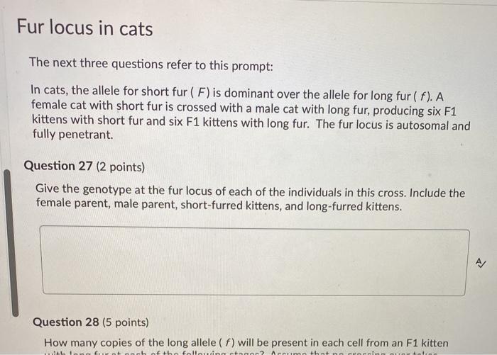 Solved Fur locus in cats The next three questions refer to | Chegg.com