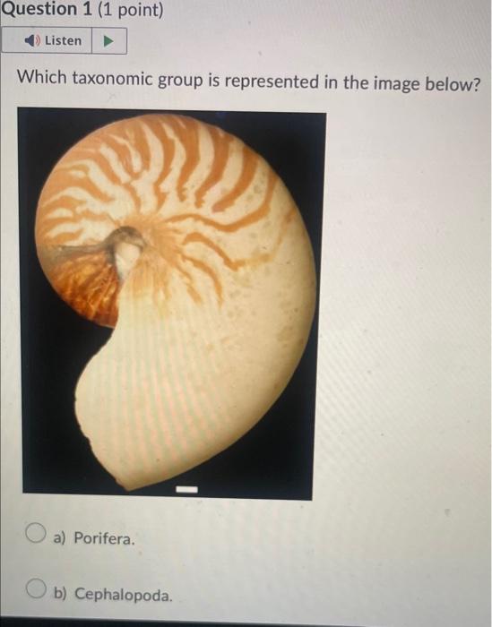What is the organism in the image below?3/3x | Chegg.com