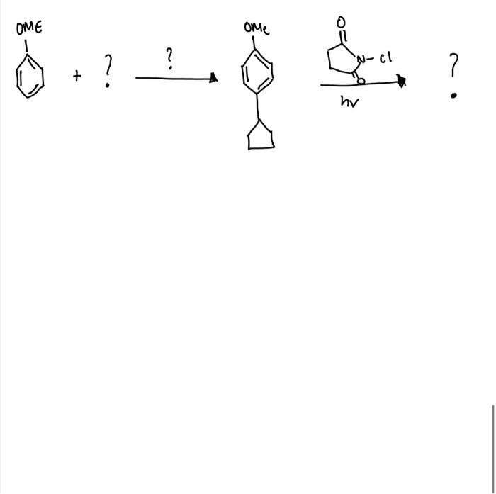 Solved fill in the missing products and reagents into the | Chegg.com