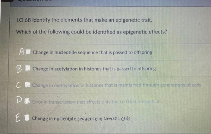 Solved LO 68 Identify the elements that make an epigenetic | Chegg.com