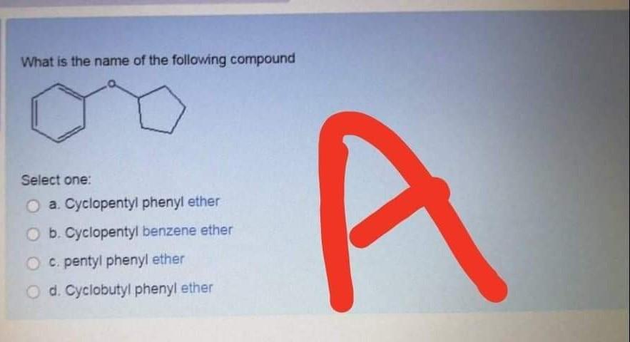 Solved What is the name of the following compound Select | Chegg.com