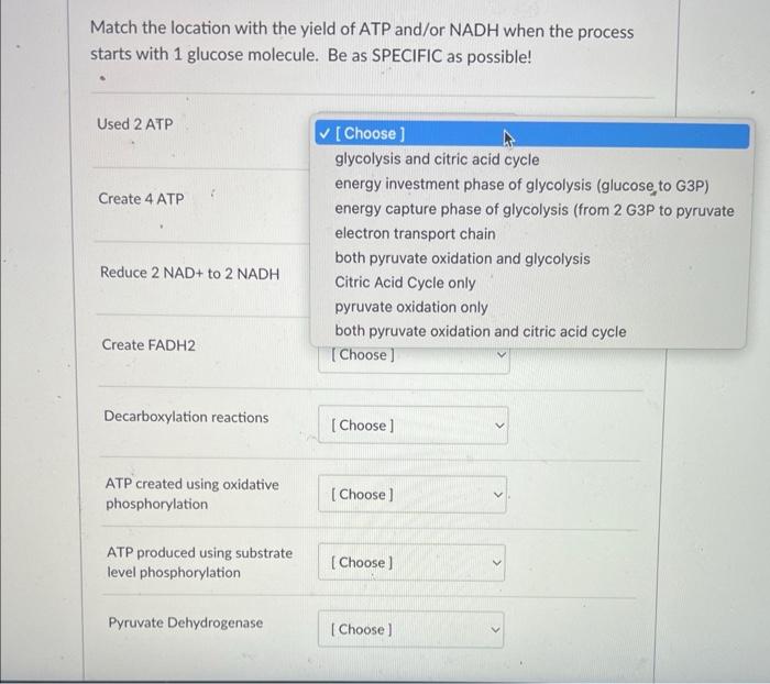 Solved Match the location with the yield of ATP and/or NADH | Chegg.com