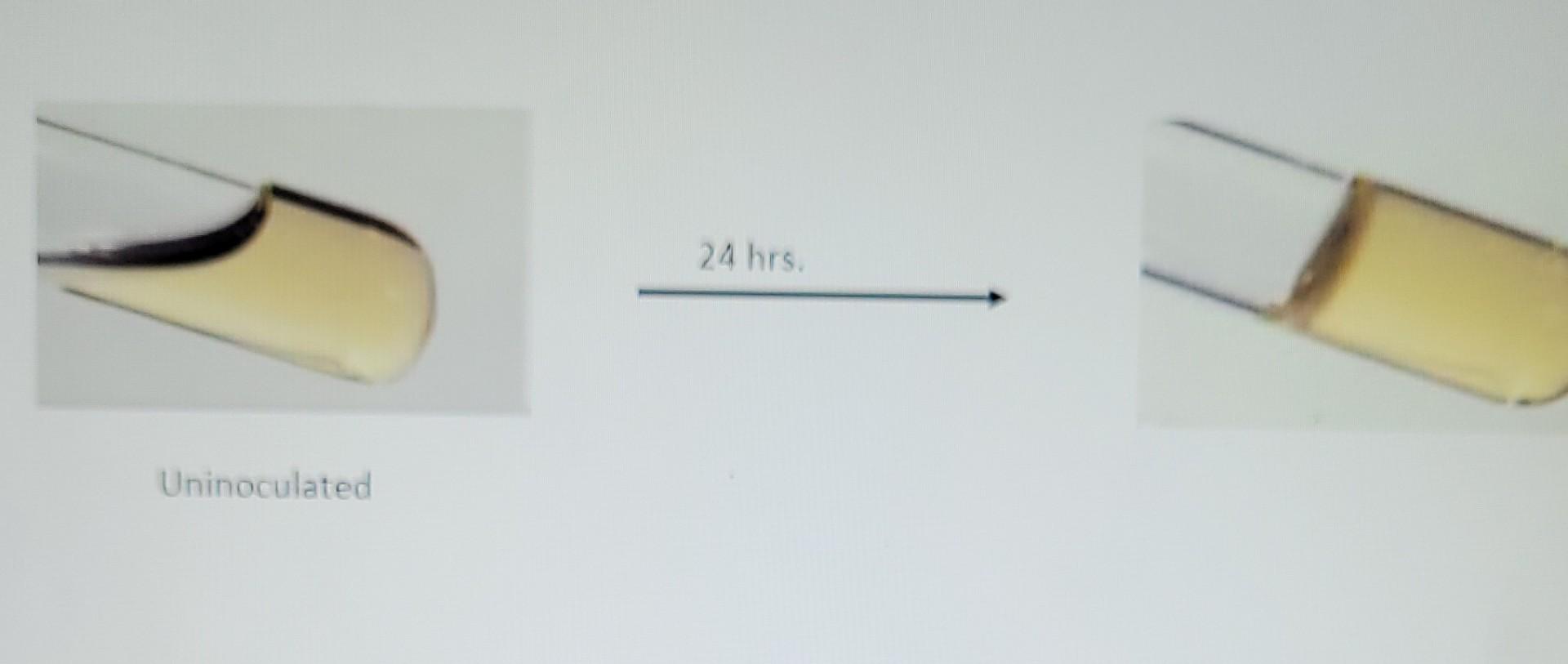 Solved Mixed Unknown Identification Form Unknown 'Patient | Chegg.com