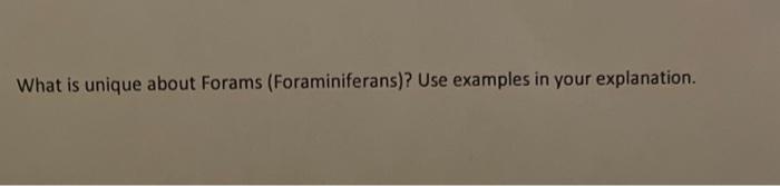 Solved What is unique about Forams (Foraminiferans)? Use | Chegg.com