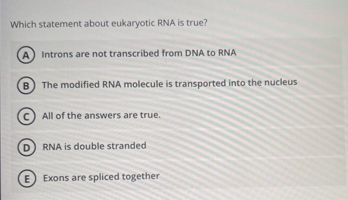 Solved Which statement about eukaryotic RNA is true? A) | Chegg.com