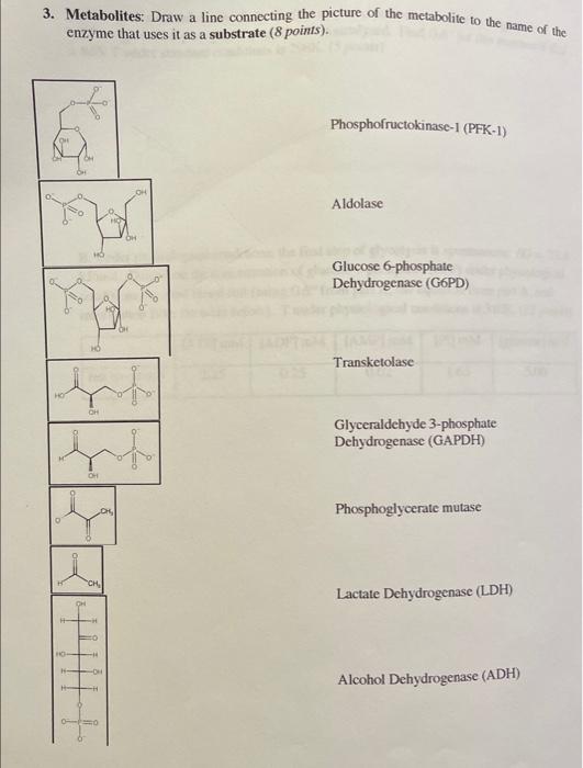 Solved 2 Matabolte.n. on the nicture of the wa-e. the 3. | Chegg.com