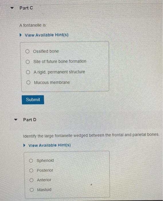 Solved The skull is derived (forms) from: View Available | Chegg.com