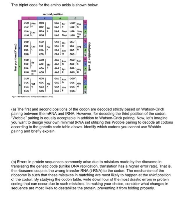 Solved The triplet code for the amino acids is shown below. | Chegg.com