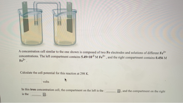 Solved A concentration cell similar to the one shown is | Chegg.com