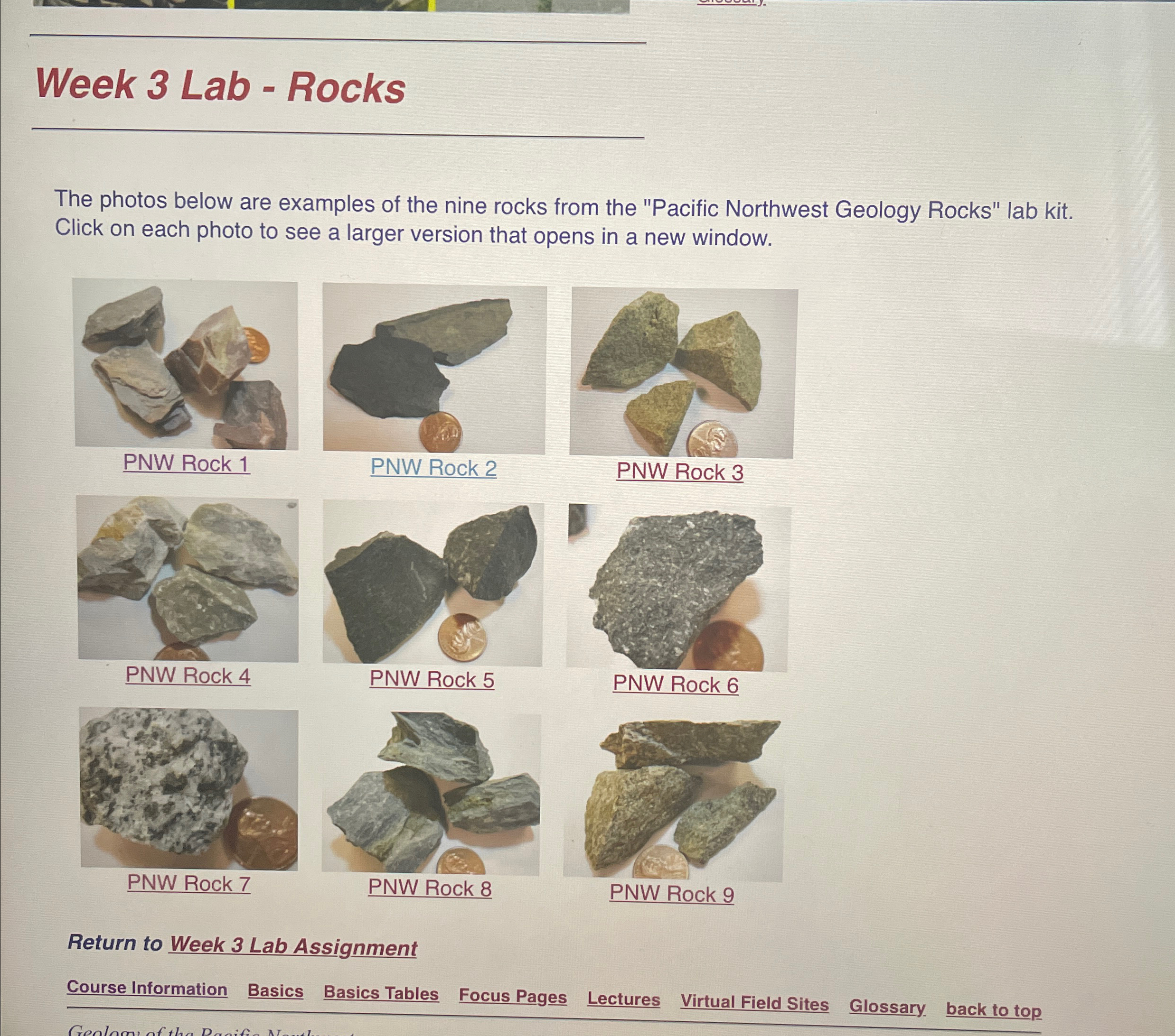 Solved Week 3 ﻿Lab - ﻿RocksThe photos below are examples of | Chegg.com