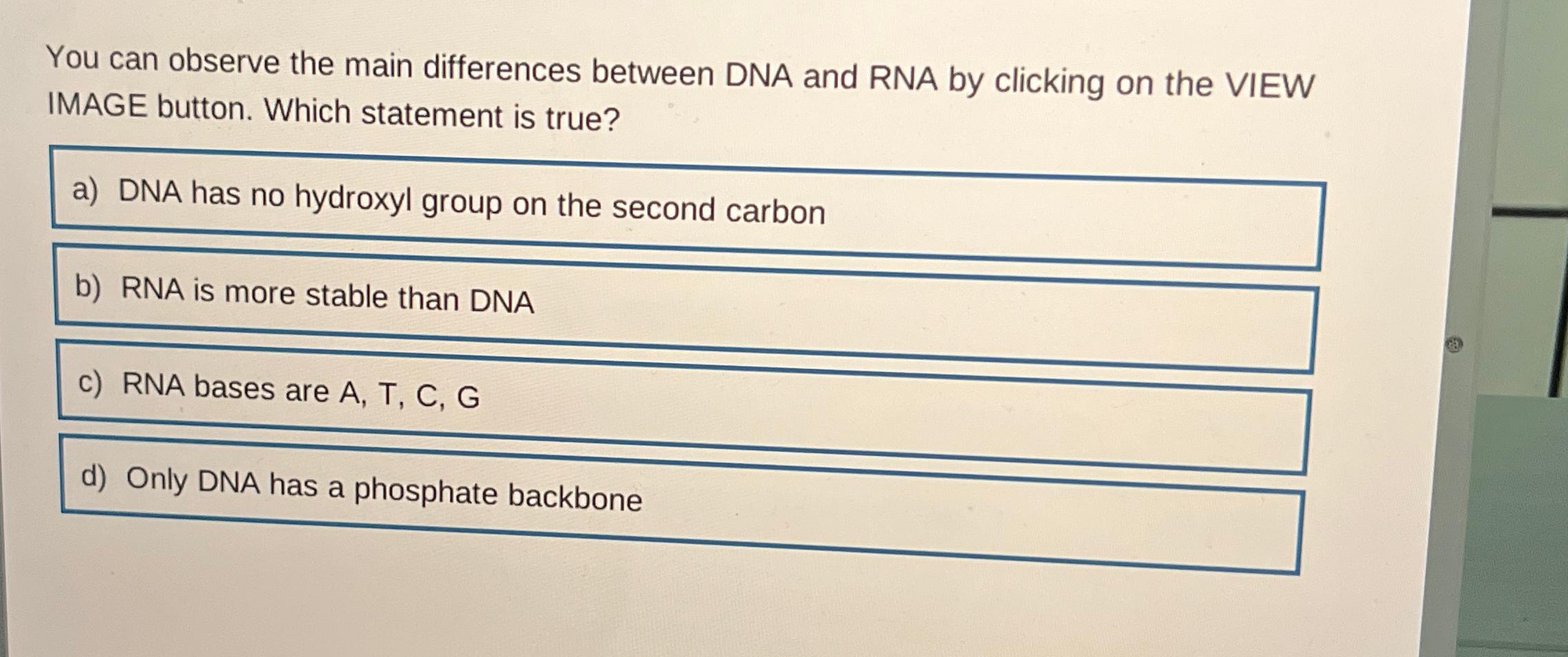 Solved You can observe the main differences between DNA and | Chegg.com