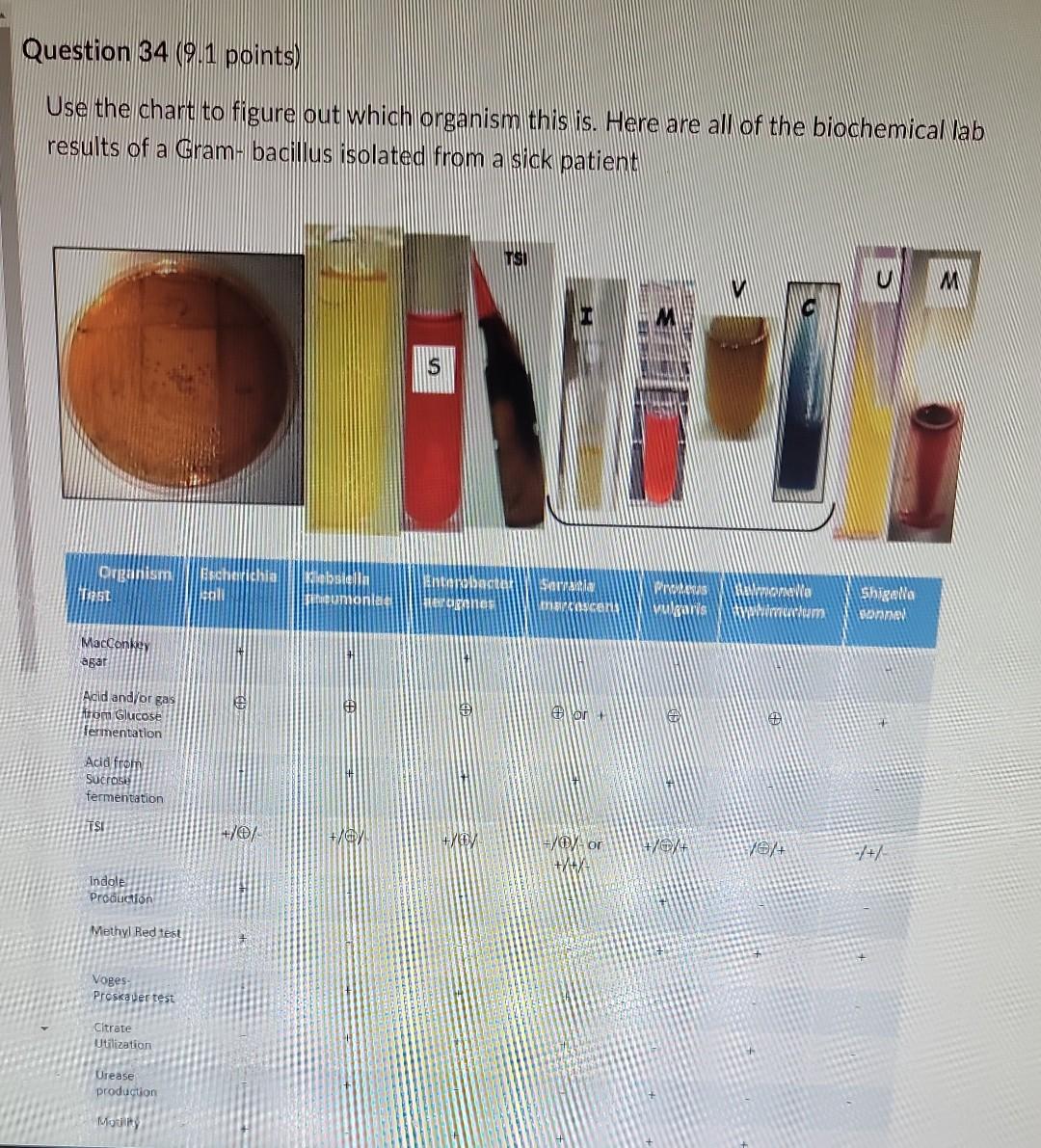 Solved Question 34 (9.1 points) Use the chart to figure out | Chegg.com