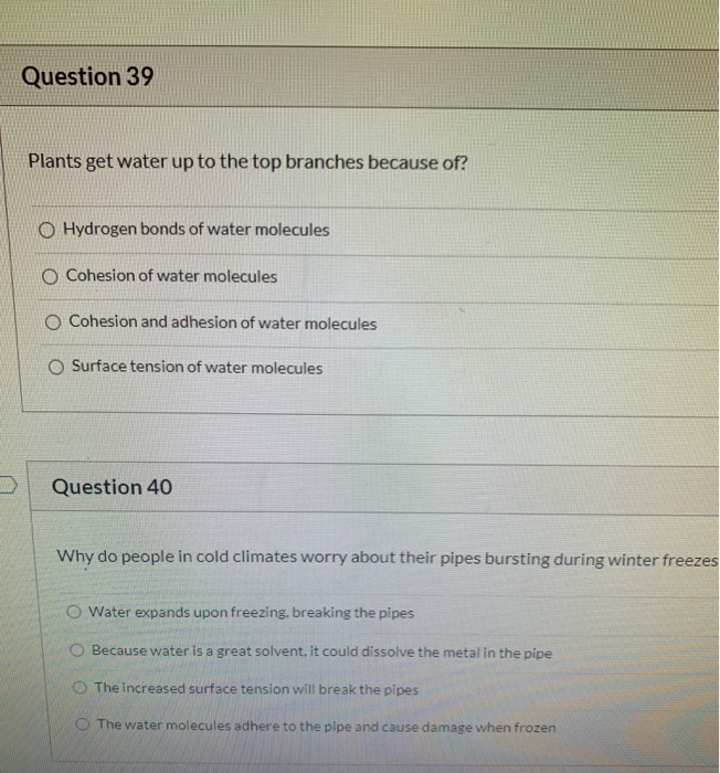 Solved Question 37 Which of the following is a property of | Chegg.com