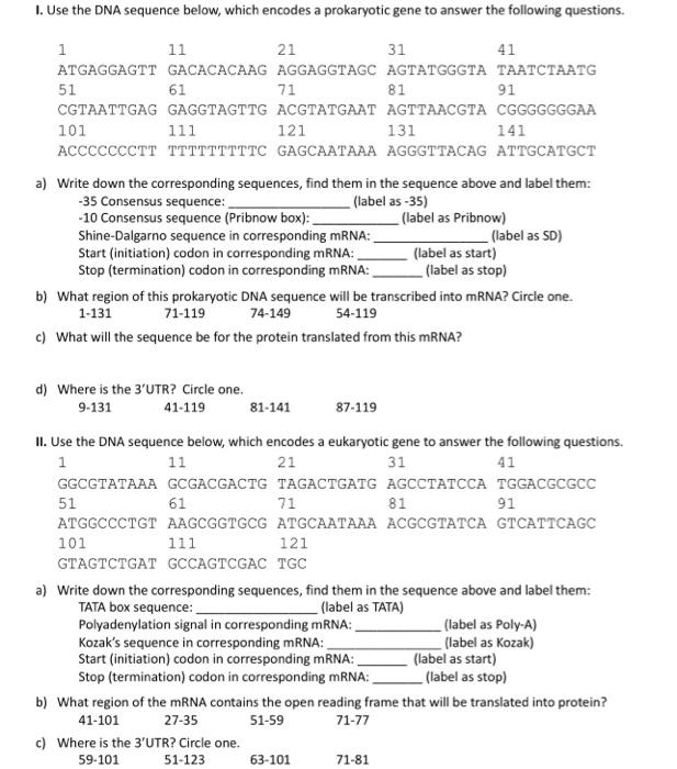 Solved 1. Use the DNA sequence below, which encodes a | Chegg.com