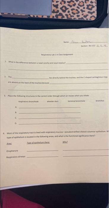 1. What is the difference between a raitul conatia | Chegg.com