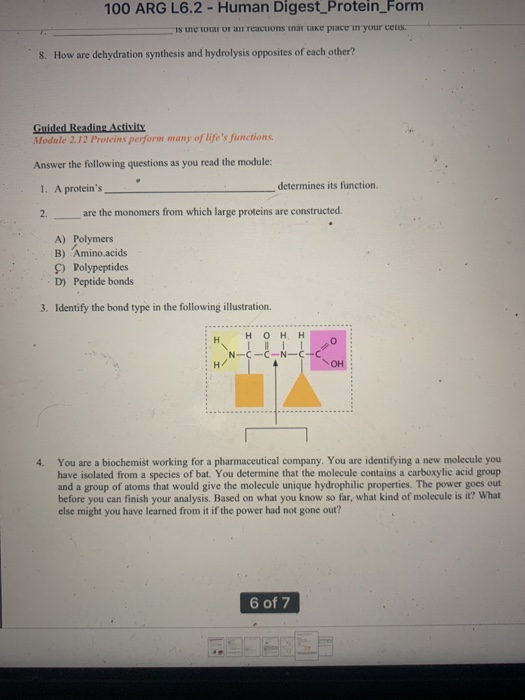 Solved 100 ARG L6.2 - Human Digest_Protein_Form Is the tour | Chegg.com