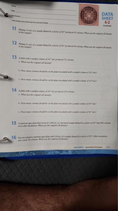 Standard Plate Count (Viable Count) oBecmuations AND | Chegg.com