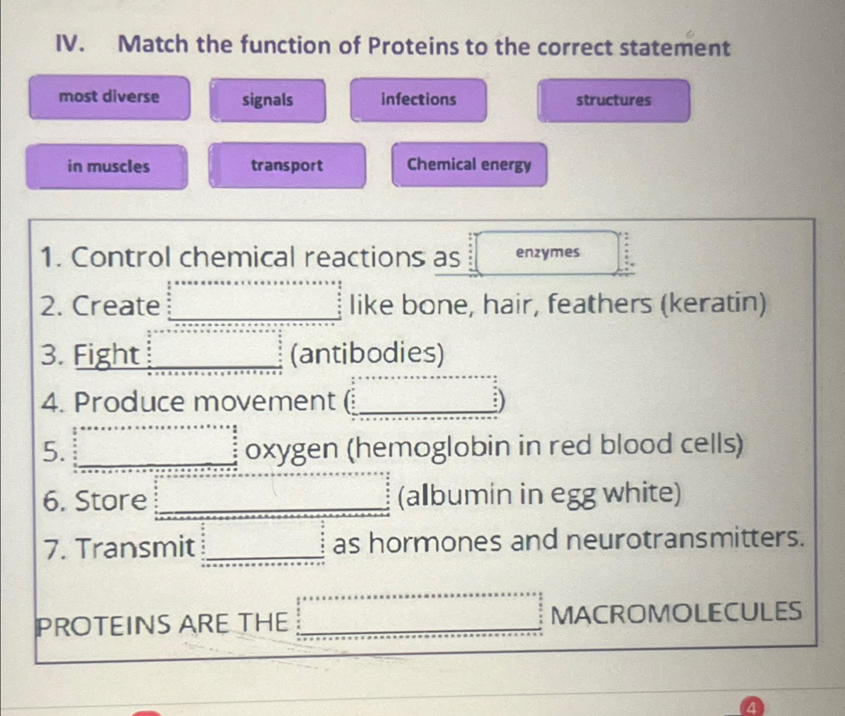 Solved IV. ﻿Match the function of Proteins to the correct | Chegg.com