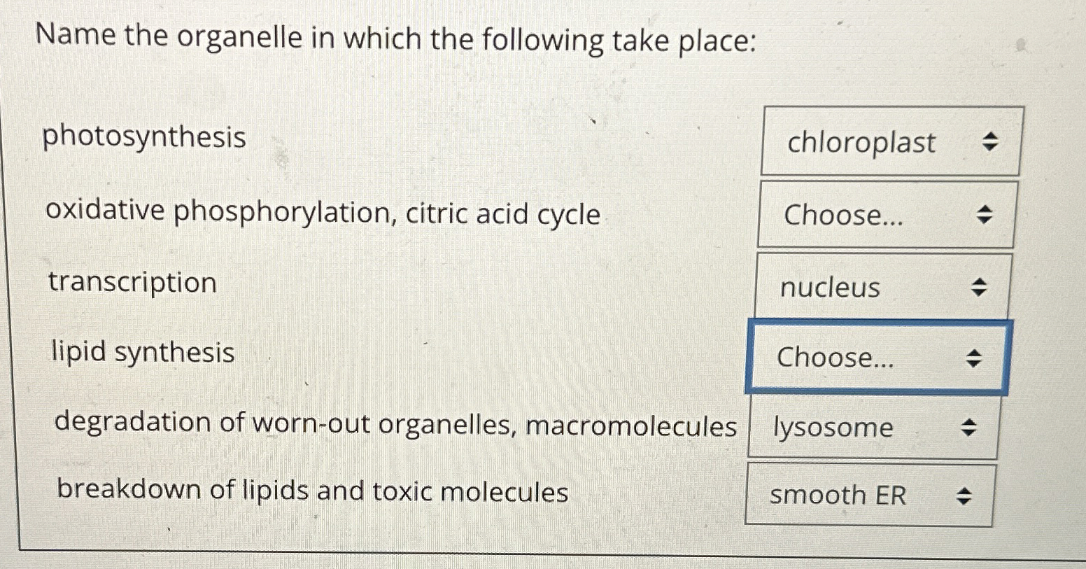 Solved Name the organelle in which the following take | Chegg.com