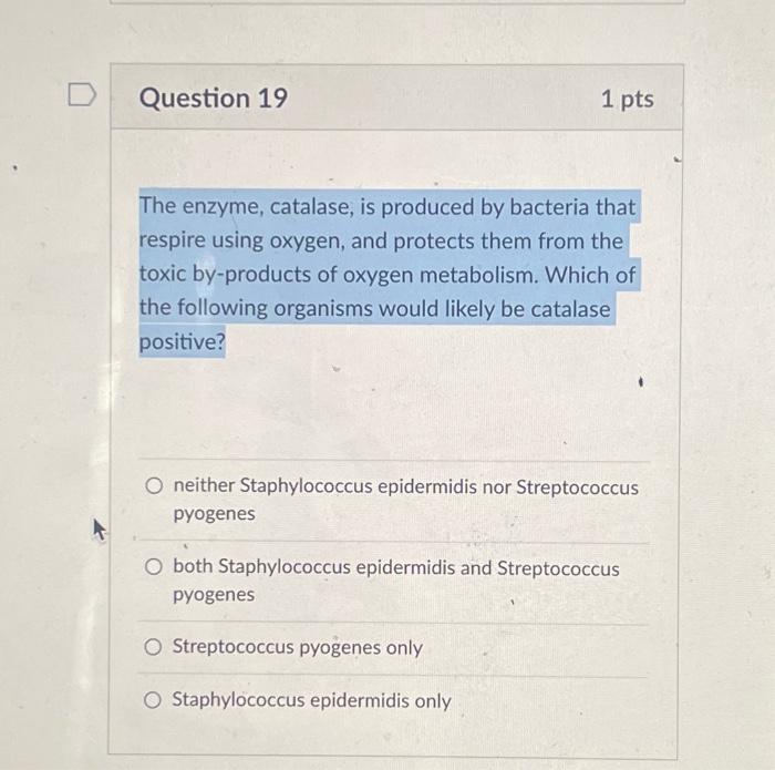 Solved The enzyme, catalase, is produced by bacteria that | Chegg.com