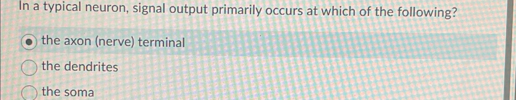 Solved In a typical neuron, signal output primarily occurs | Chegg.com