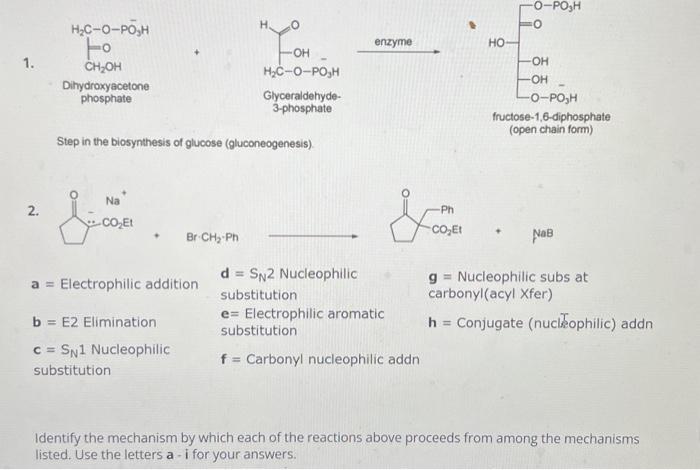 Step in the biosynthesis of glucose | Chegg.com