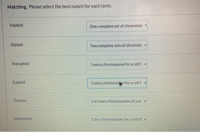 Solved Matching. Please select the best match for each term. | Chegg.com