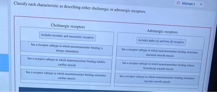 Classify each characteristic as describing either | Chegg.com