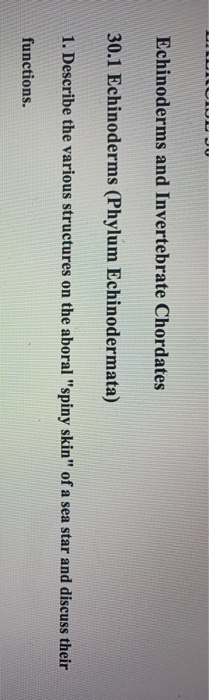 Echinoderms And Invertebrate Chordates Ck12 Foundation