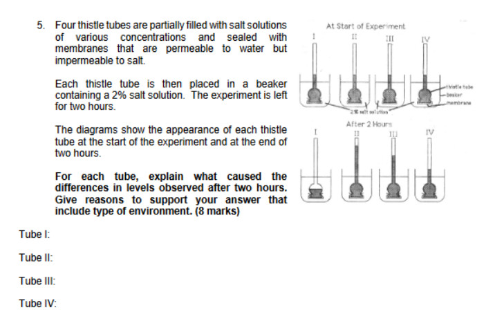 Solved Four thistle tubes are partially filled with salt | Chegg.com