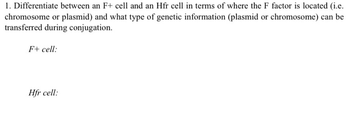 Solved 1. Differentiate between an F+ cell and an Hfr cell | Chegg.com