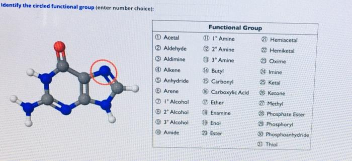 Solved Identify the circled functional group (enter number | Chegg.com