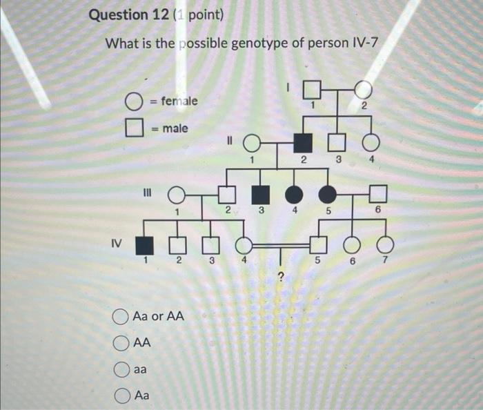 Solved What is the possible genotype of person IV-7 Aa or AA | Chegg.com