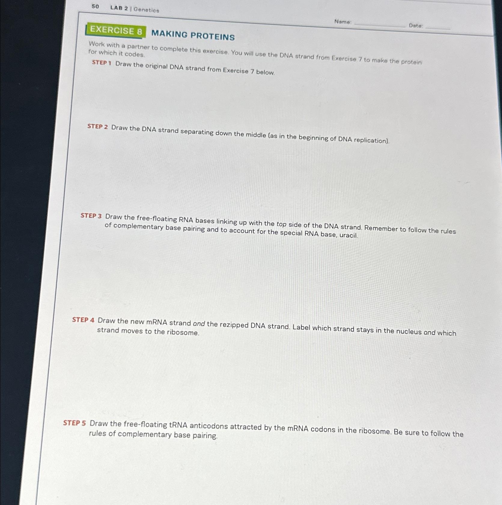 Solved 50LAB 2 | ﻿GeneticsName:Date:EXERCISE 8 ﻿MAKING | Chegg.com