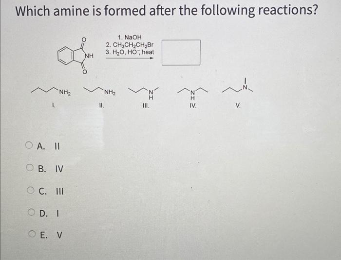 Solved What is the major product formed from Hofmann | Chegg.com