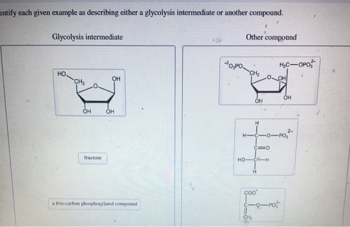 Solved entify each given example as describing either a | Chegg.com