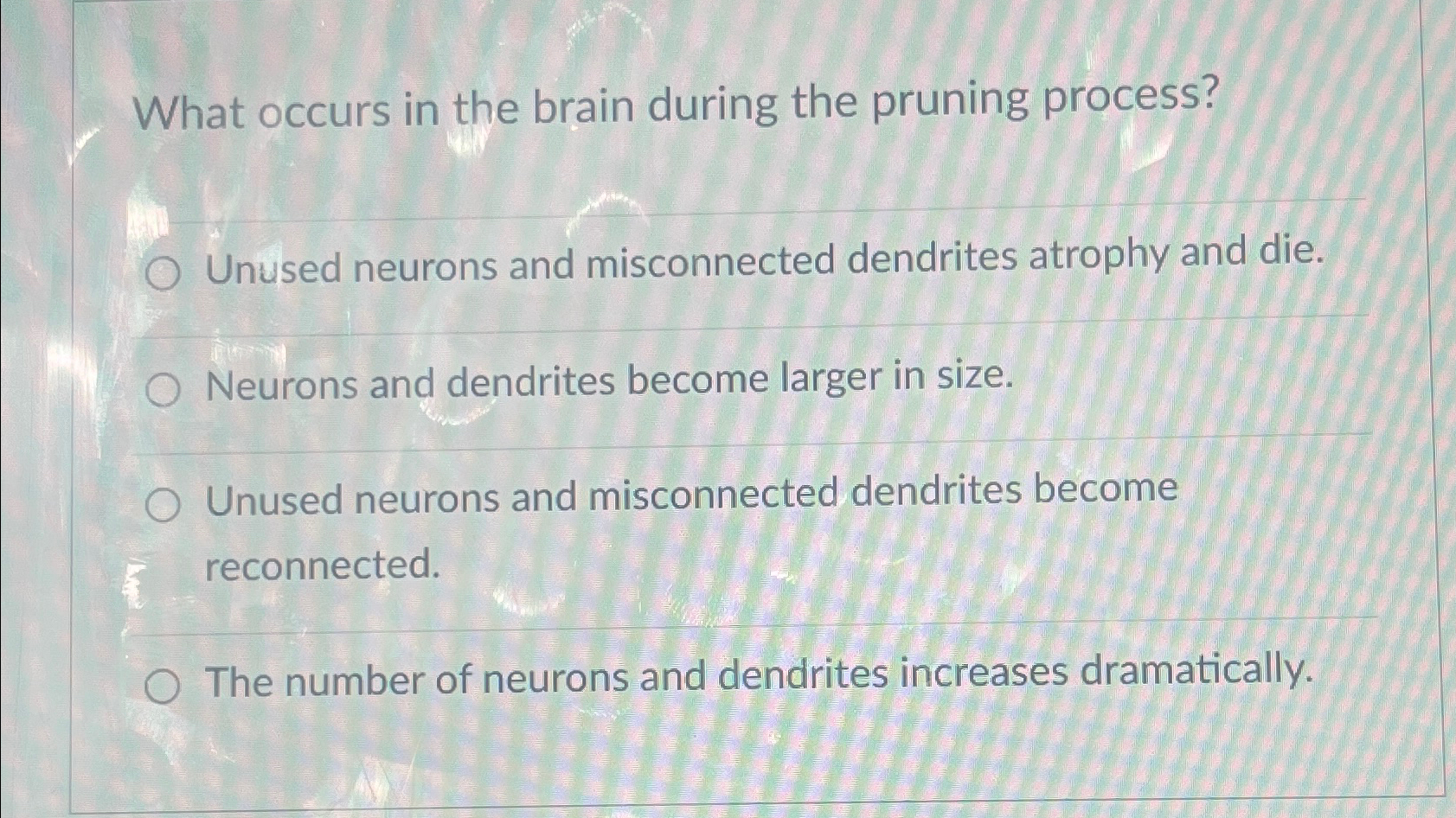Solved What occurs in the brain during the pruning | Chegg.com