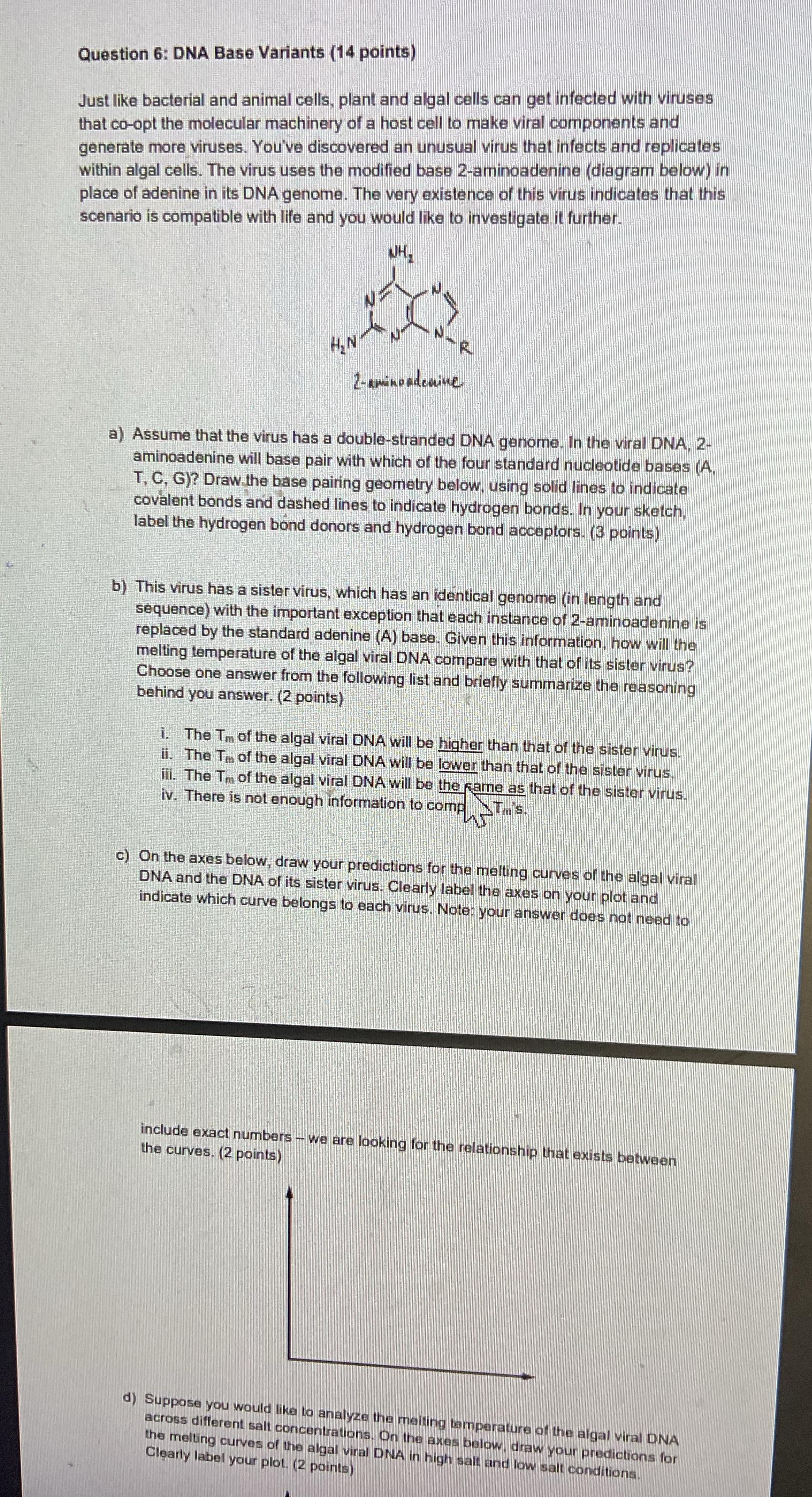 Solved Question 6: DNA Base Variants (14 ﻿points)Just like | Chegg.com