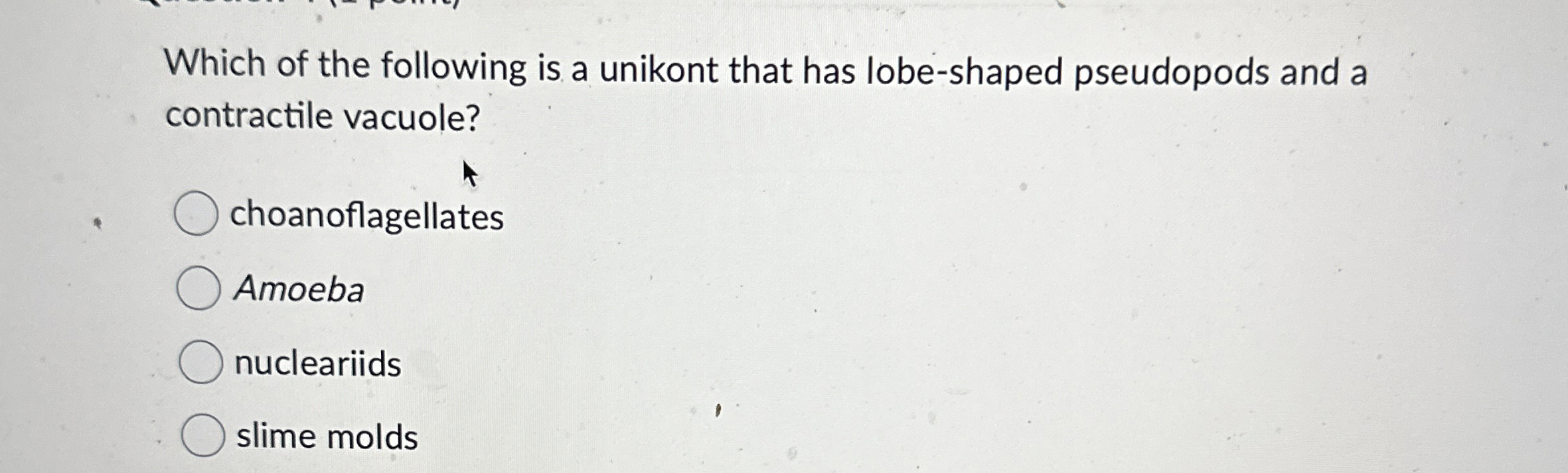 Solved Which of the following is a unikont that has | Chegg.com