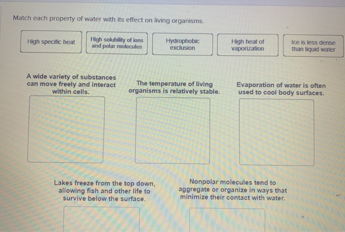 Solved Match each property of water with its effect on | Chegg.com