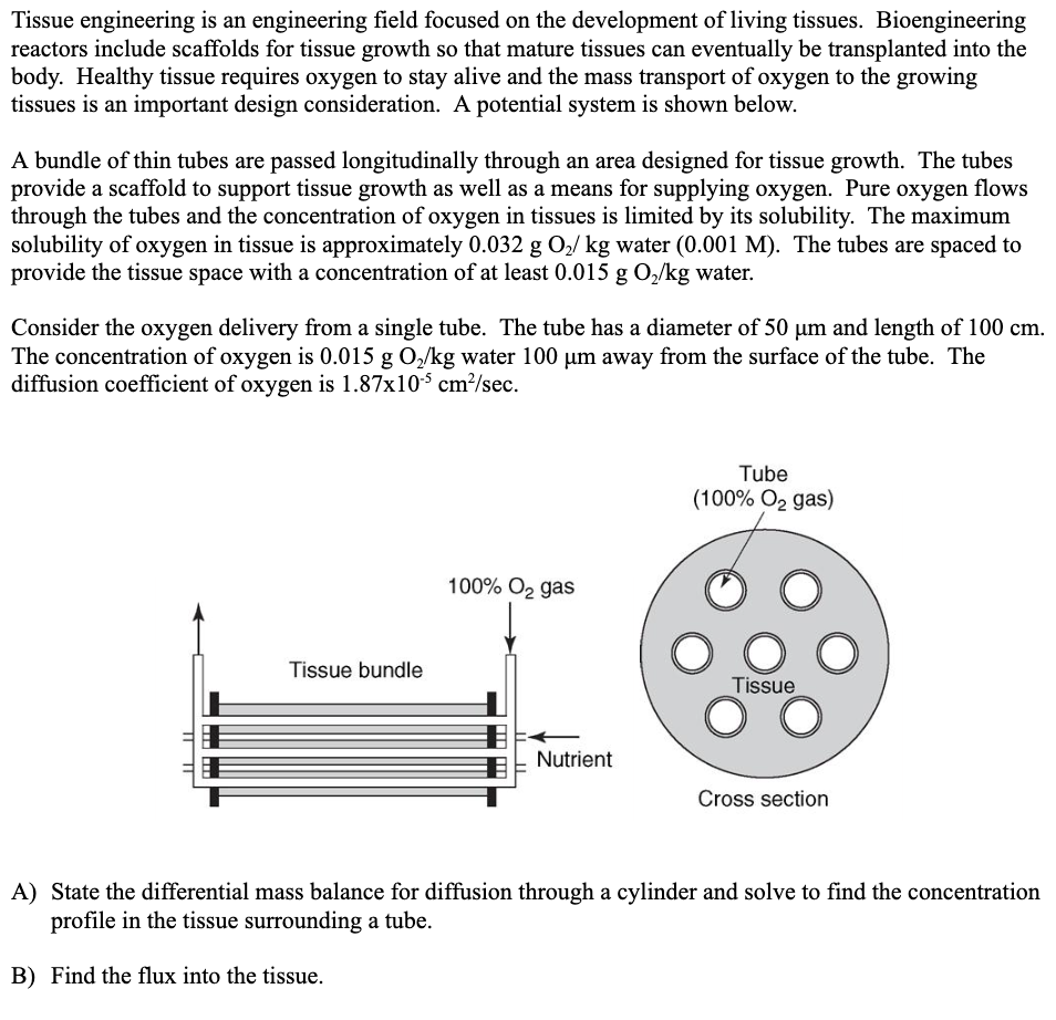 Solved Tissue engineering is an engineering field focused on | Chegg.com