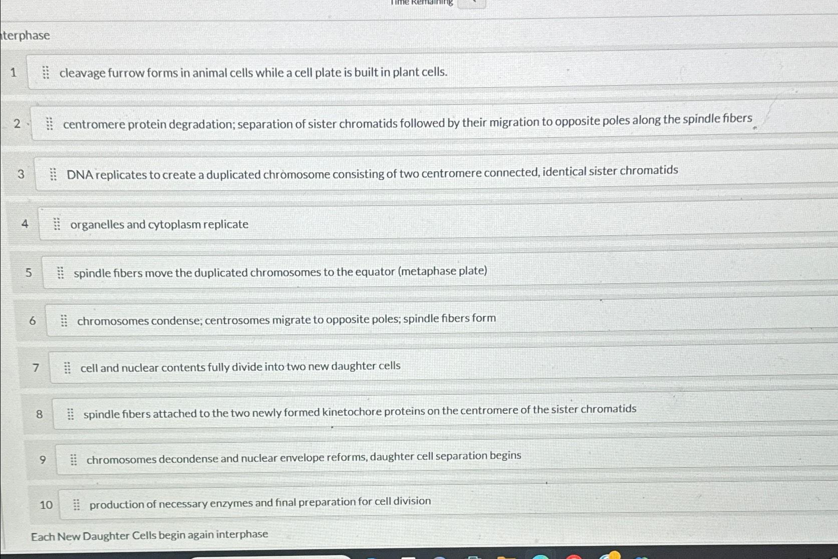 Solved terphase1:: cleavage furrow forms in animal cells | Chegg.com