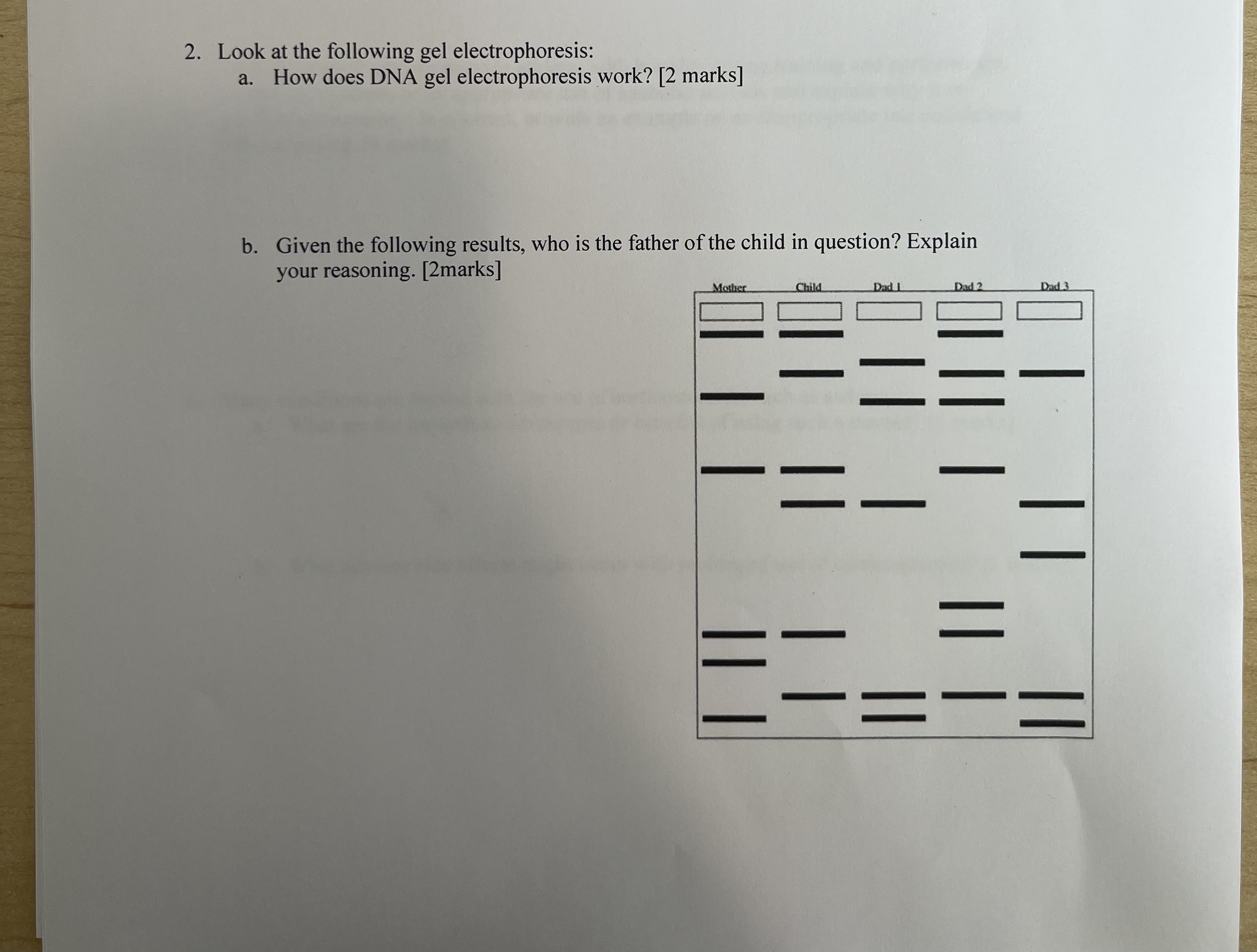 Solved Part C - ﻿APPLICATION - [25 ﻿marks]Look at the | Chegg.com